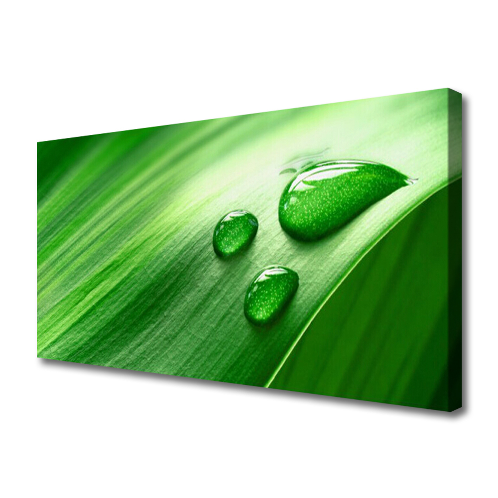 Tablou pe panza canvas Frunze de apă Picături Floral Verde - Tulup